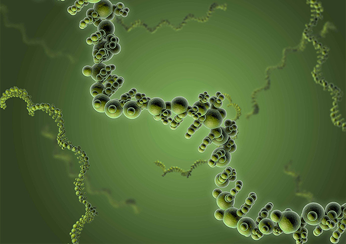 Microsynth Seqlab GmbH | International Fairs Directory | Biotechnology,Chemistry, Chemical ...