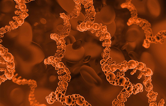 Microsynth Seqlab GmbH | International Fairs Directory | Biotechnology,Chemistry, Chemical ...